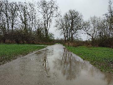 Stamford - BBC Weather