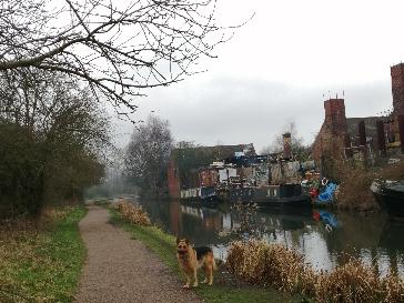 Walsall - BBC Weather