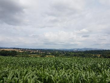 Oswestry - BBC Weather