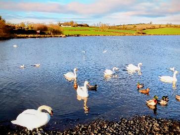Warrenpoint - BBC Weather
