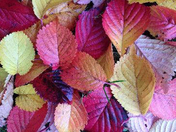 Daventry - BBC Weather