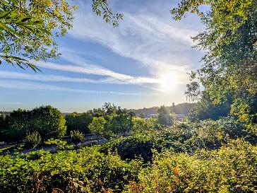Denton - BBC Weather