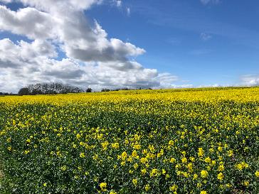 Basildon - BBC Weather