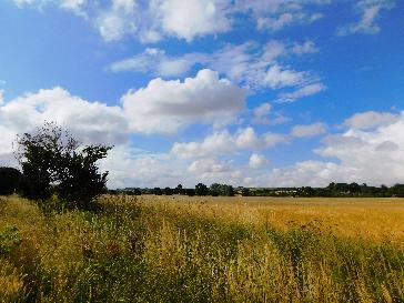 Immingham - BBC Weather
