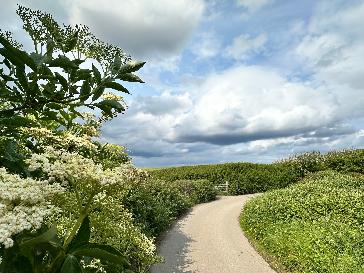 Whitby - BBC Weather