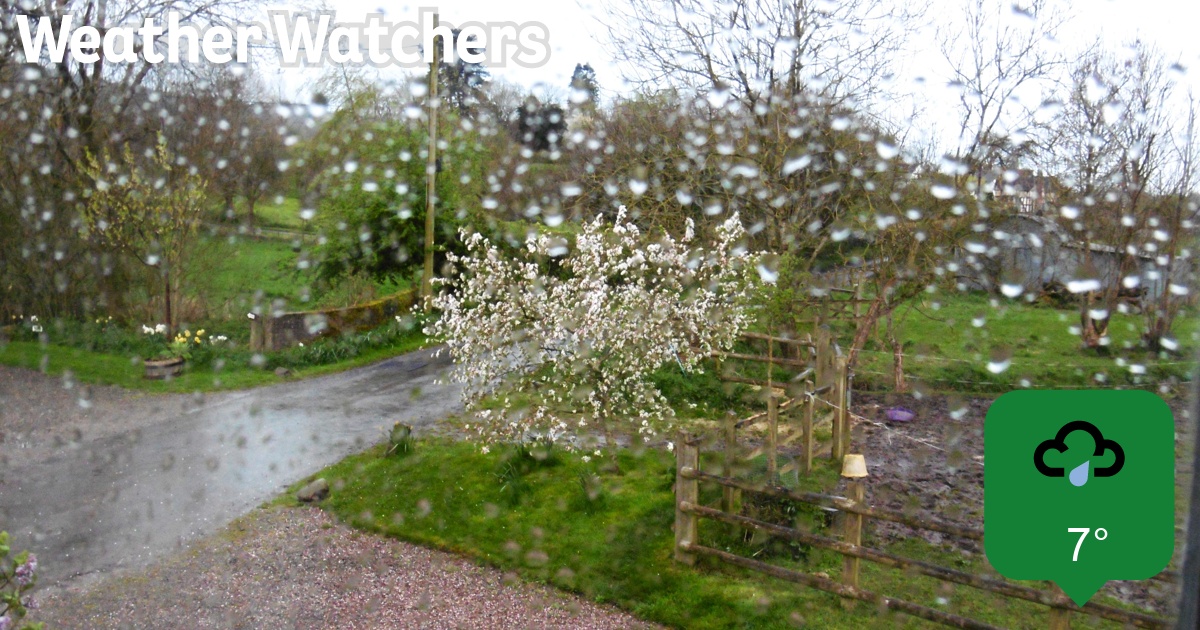 Report - BBC Weather Watchers