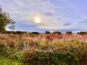Falkirk - BBC Weather