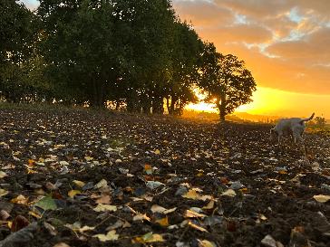 Trowbridge - BBC Weather