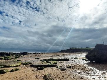 Bridlington - BBC Weather