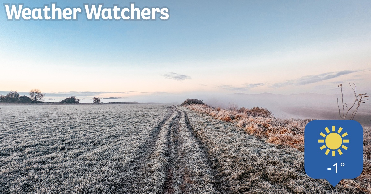 Report - BBC Weather Watchers