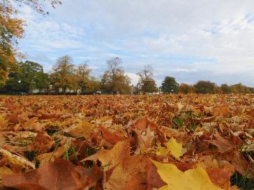 Harrogate - BBC Weather