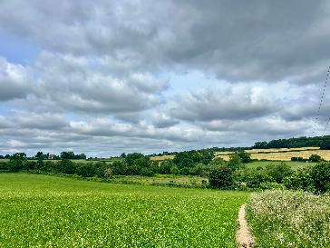Knowle - BBC Weather