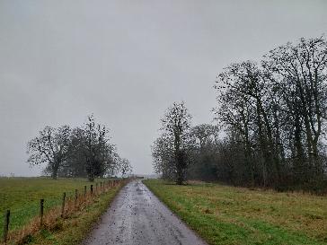 Leicester - BBC Weather