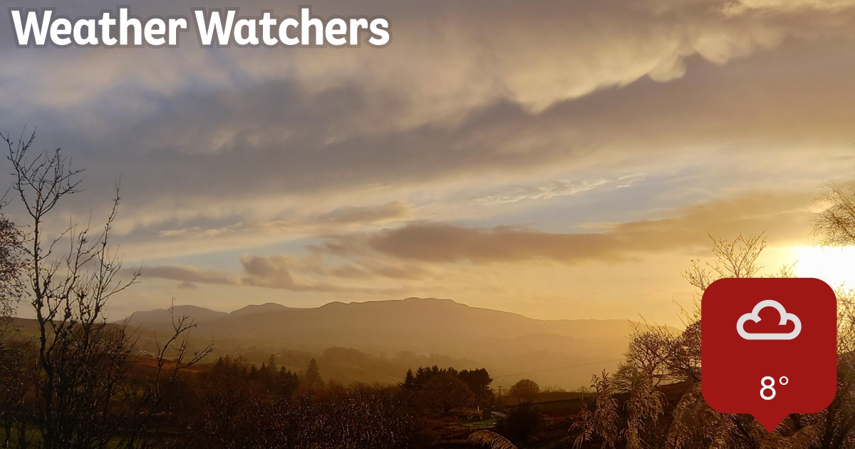 Report - BBC Weather Watchers