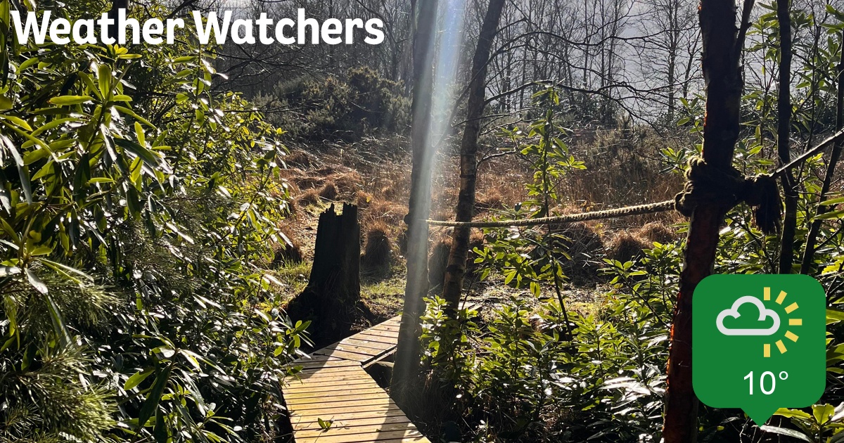 Report - BBC Weather Watchers
