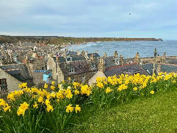 Lerwick - BBC Weather
