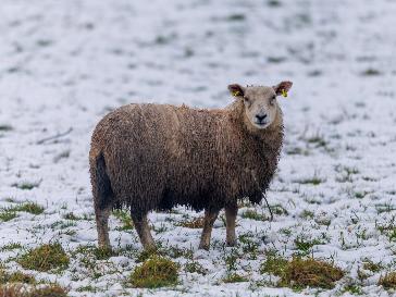 Portrush - BBC Weather