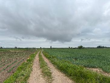 Rotherham - BBC Weather