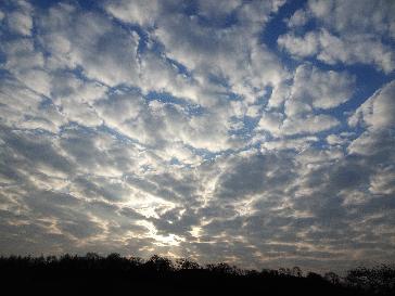 Londonderry - BBC Weather