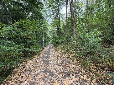 Telford - BBC Weather