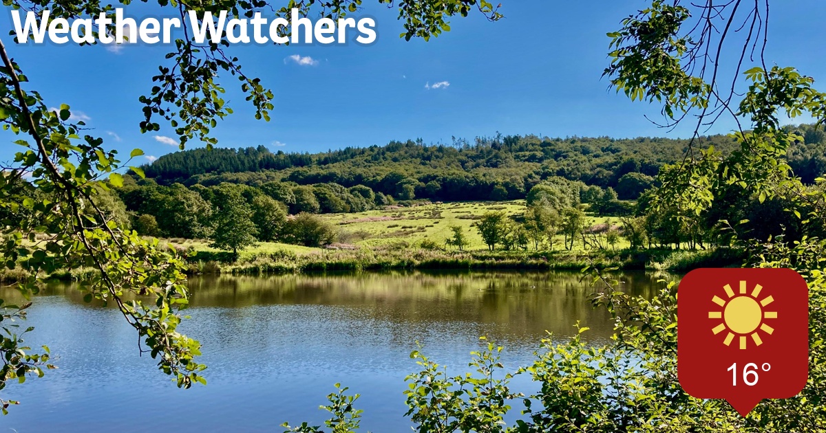 Report - BBC Weather Watchers