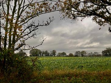 Haverhill - BBC Weather