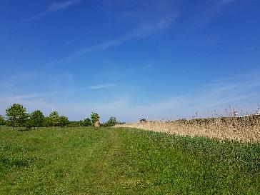 Sutton on Sea - BBC Weather