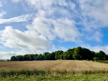 Corsham - BBC Weather