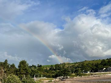 Belfast - BBC Weather
