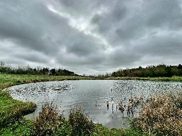 Durham - BBC Weather