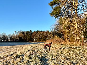 Reading - BBC Weather