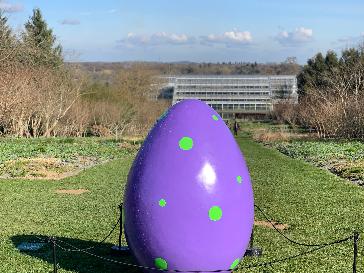 Guildford - BBC Weather