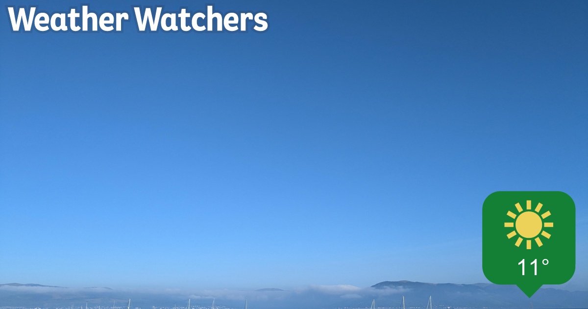 Report - BBC Weather Watchers