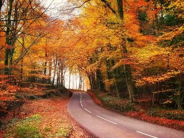 Swindon Village - BBC Weather