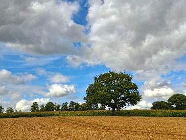 Macclesfield - BBC Weather