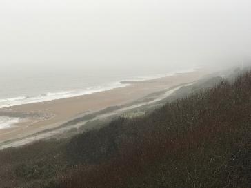 Lyndhurst - BBC Weather