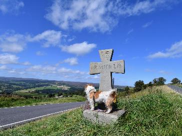Sheffield - BBC Weather