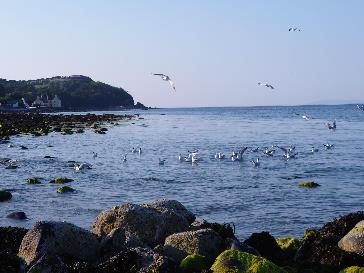 Coleraine - BBC Weather