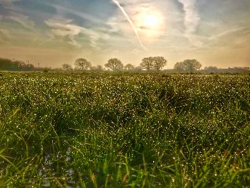 Haverhill - BBC Weather