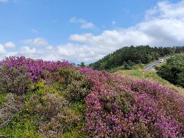 Whitby - BBC Weather