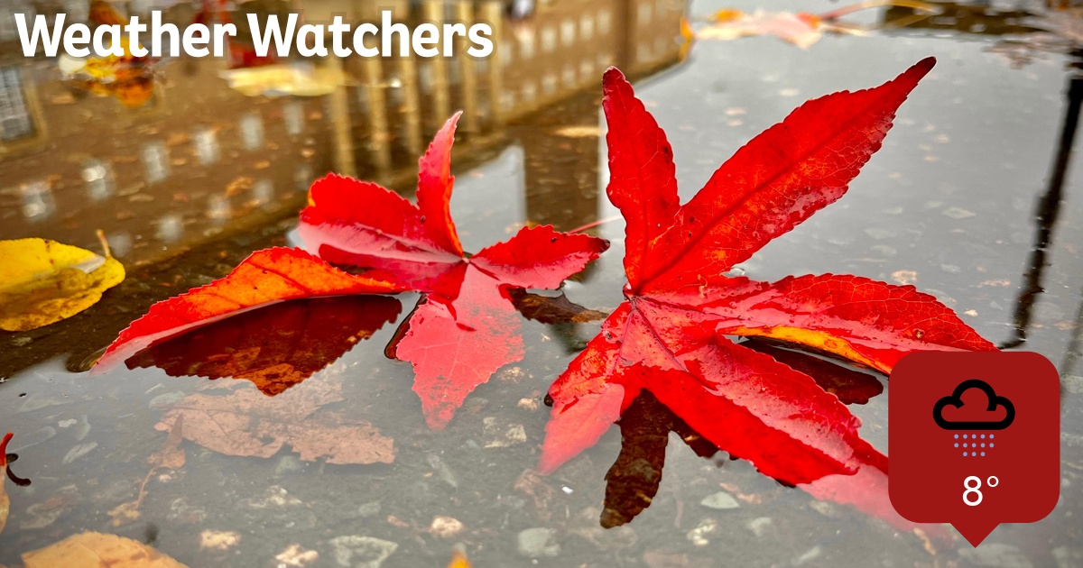 Report - BBC Weather Watchers