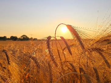 Wakefield - BBC Weather