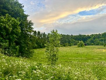 Dumfries - BBC Weather