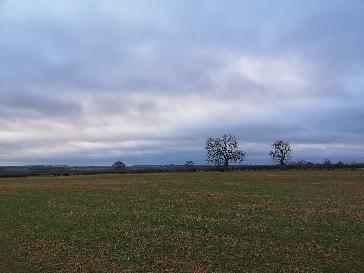 Northampton - BBC Weather