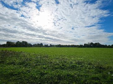 Audley - BBC Weather