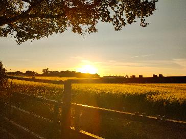 Coventry - BBC Weather