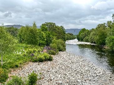 Arbroath - BBC Weather