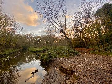 Harrow Weald - BBC Weather