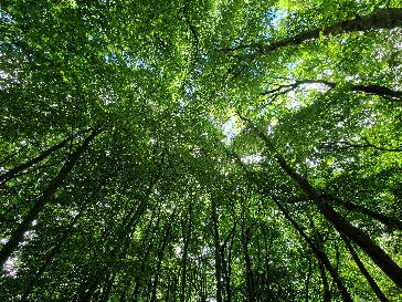 Norwich - BBC Weather