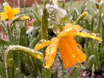 Bromyard - BBC Weather